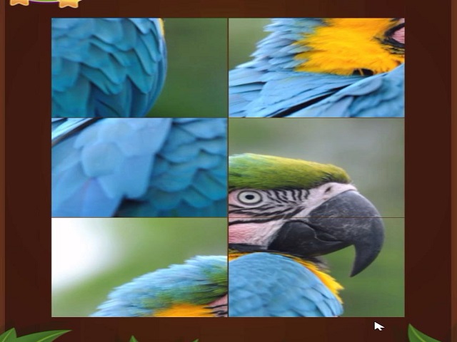 ANIMAL PUZZLE WILDLIFE AND LOGIC online spil | POMU Spil